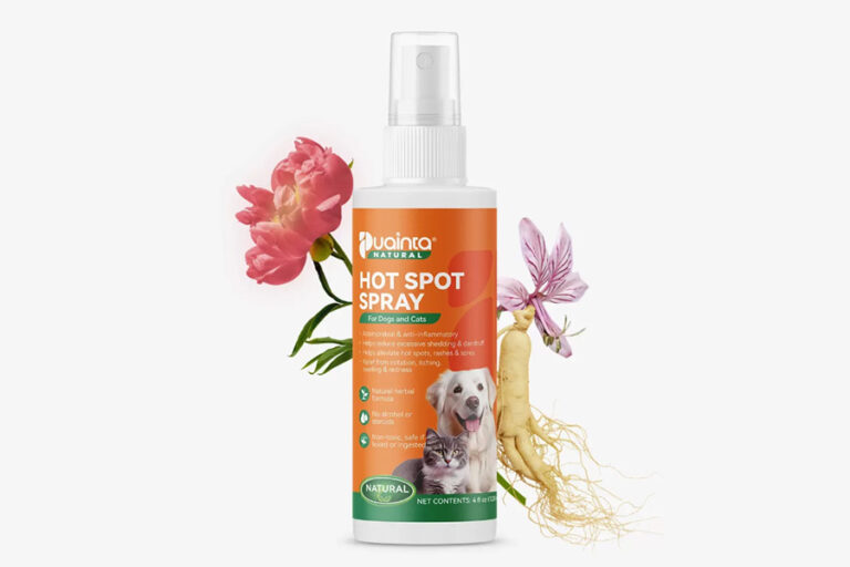 Dog Skin Rash Treatment: Causes, Remedies, and When to See a Vet